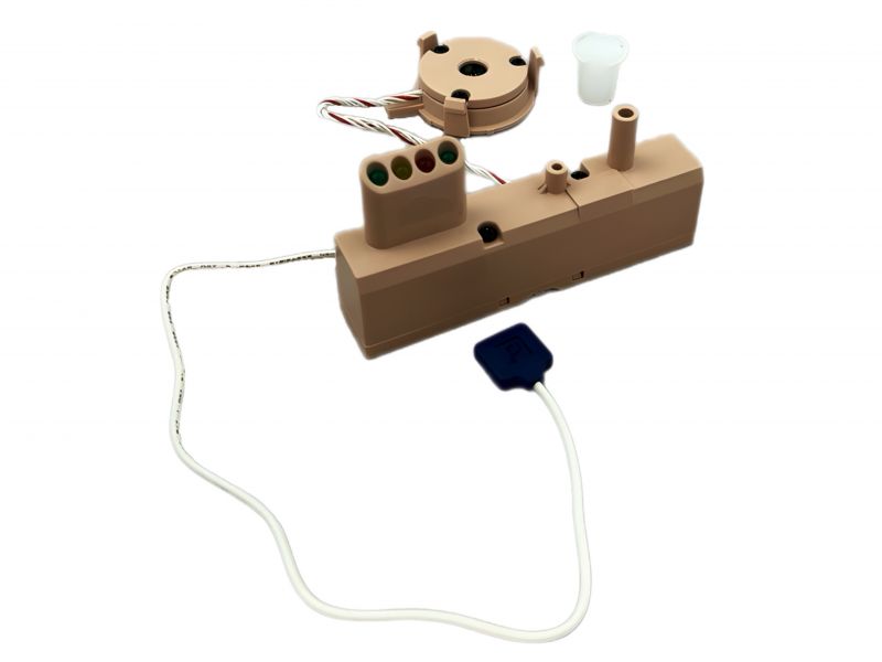 Professional Adult Series 2000 Manikin - PRESTAN Products
